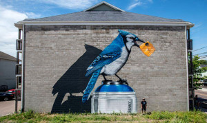 Festival Inspire 3 Mural Art in Moncton, New Brunswick